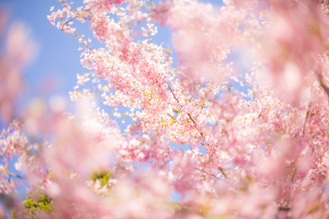 Spring Glow-Up: Easy Ways to Update Your Beauty Routine This Season ...